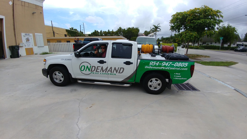 Partial Vinyl Wraps | Star Car Wraps | Dania Beach | Professional Wrap ...